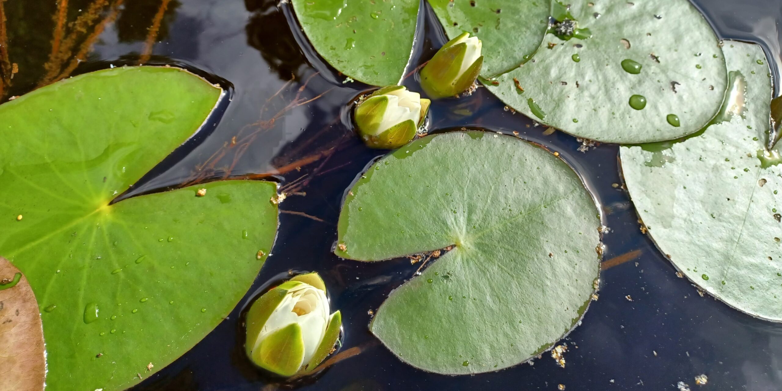 Kesätöissä KVVY:llä - KVVY
