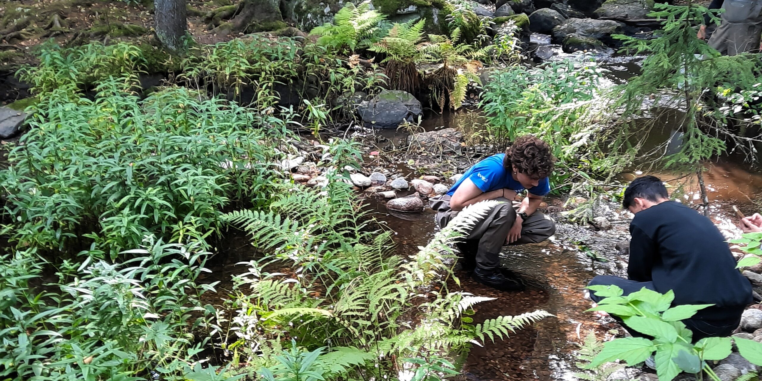 Tutustu hankkeisiimme - KVVY